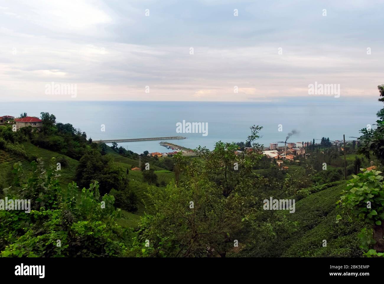 TRABZON / TURKEY - SEPTEMBER 04, 2006: Harbor, Tea Plantations. Of ...