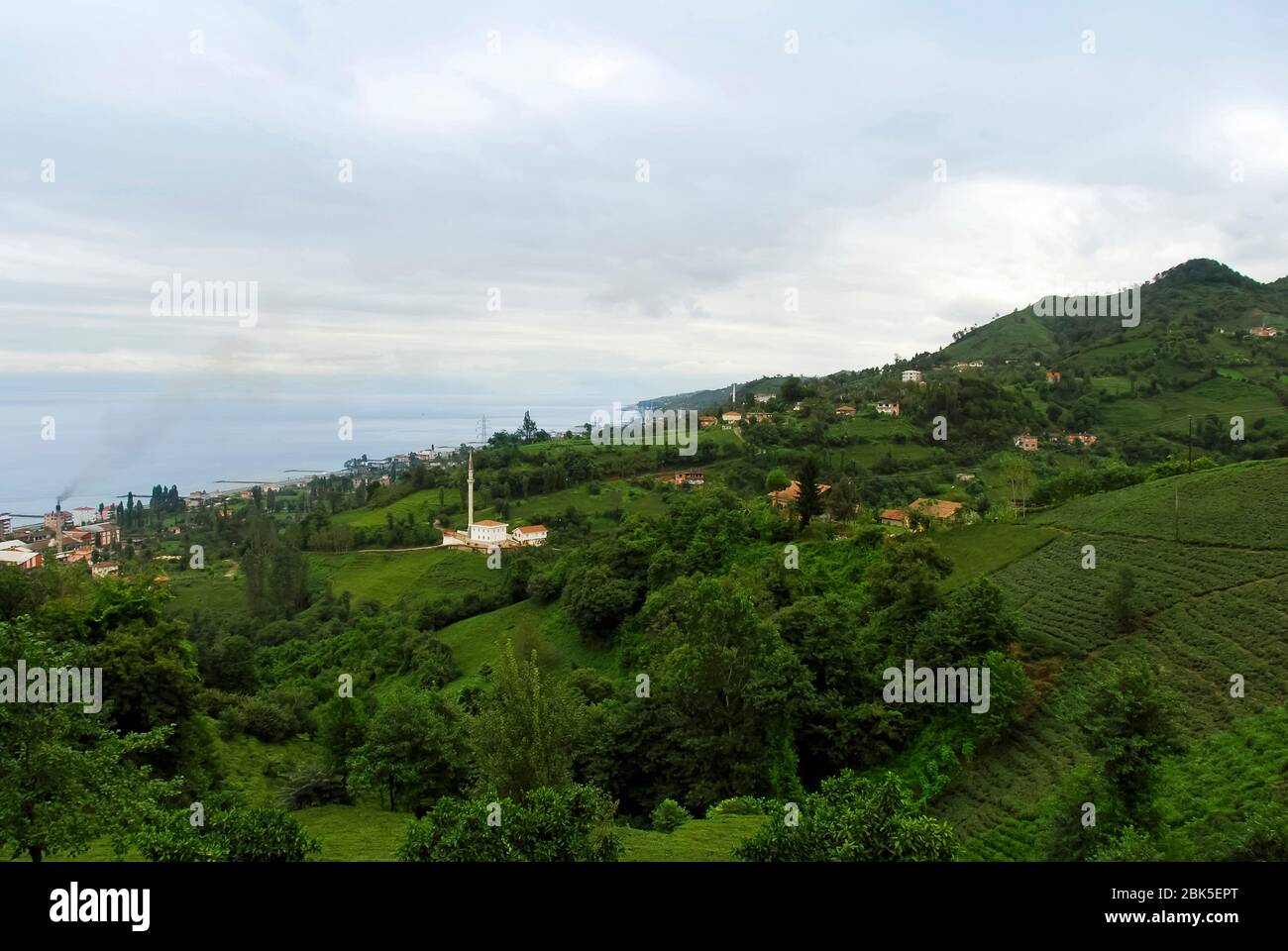 TRABZON / TURKEY - SEPTEMBER 04, 2006: Beach Villages, Tea Plantations ...