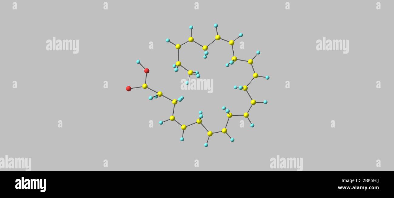 Primary cortex hi-res stock photography and images - Alamy