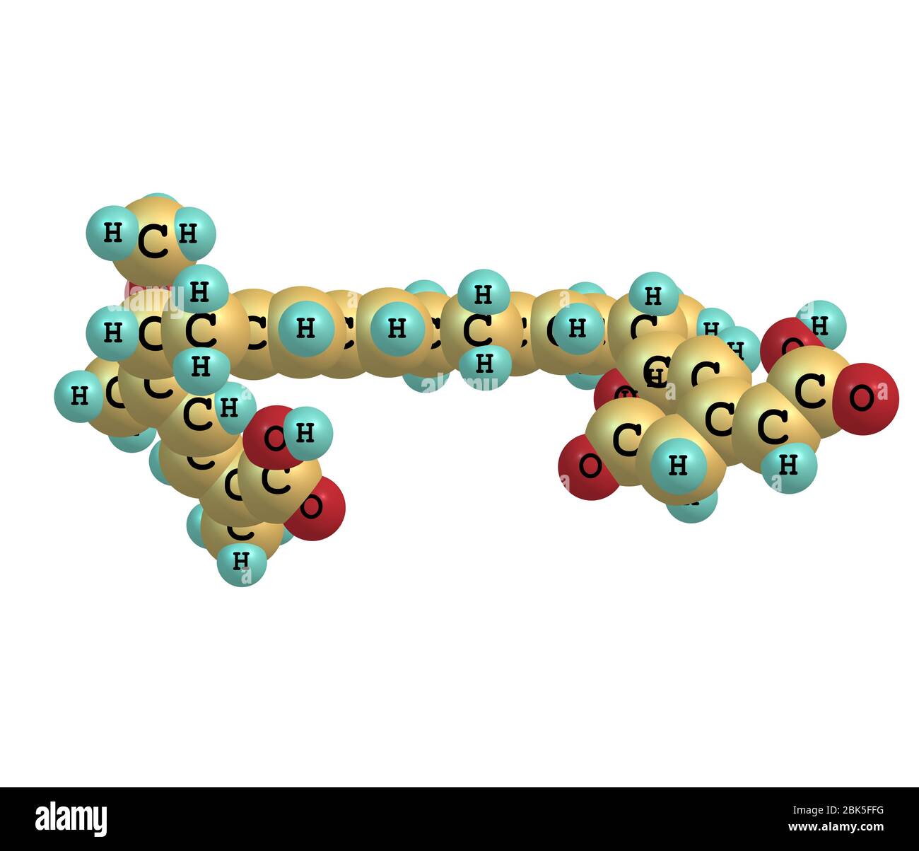 Bongkrek acid is a respiratory toxin more deadly than other ...