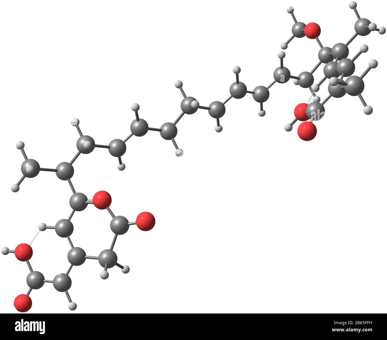 Bongkrek hi-res stock photography and images - Alamy