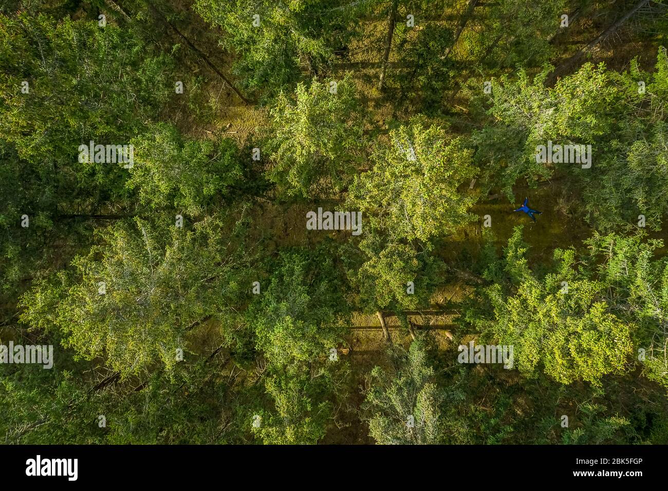 Birds eye view from above hi-res stock photography and images - Alamy