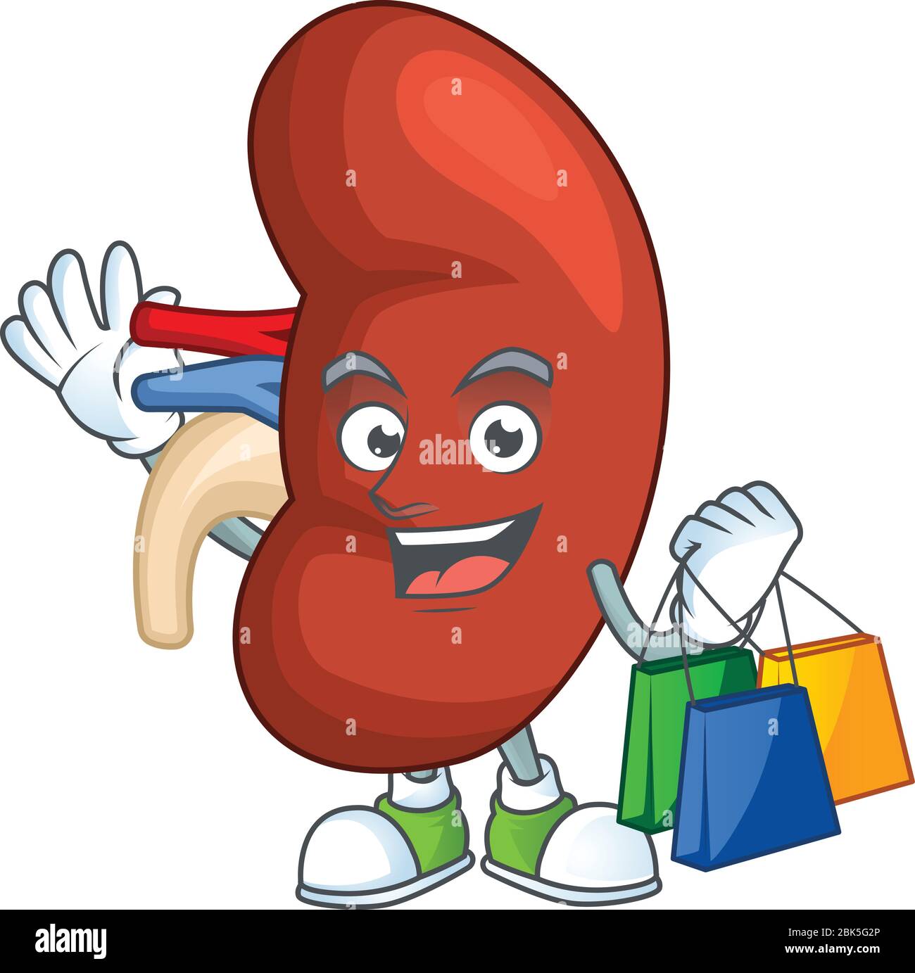Nephron Structure And Function Animation
