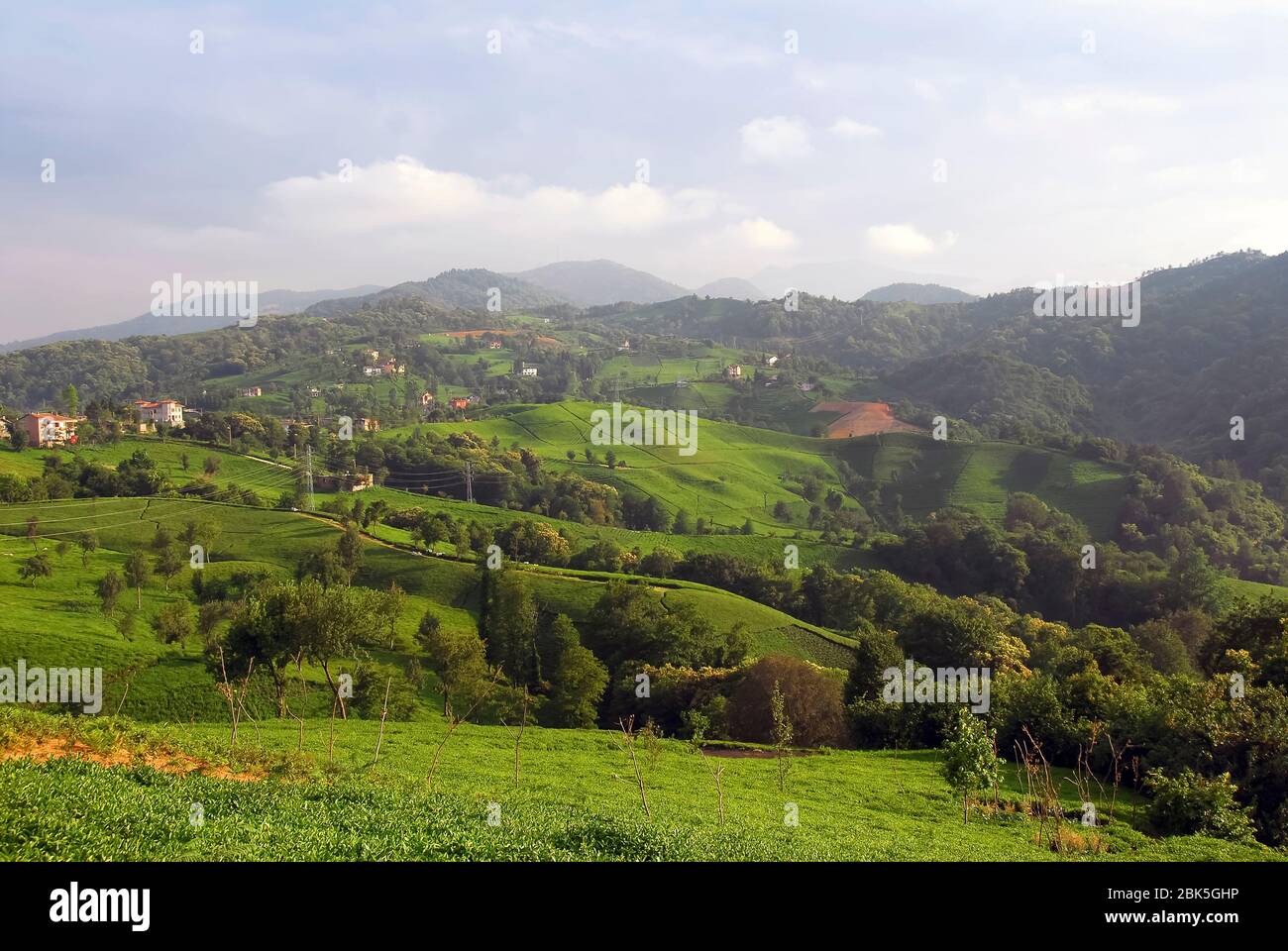 TRABZON, TURKEY - JUNE 28, 2008: Of county, Villages and Tea ...