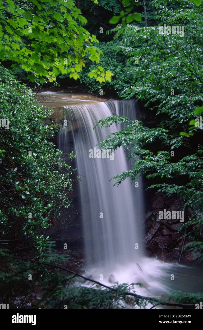 Cucumber Falls, Ohiopyle State Park, Pennsylvania Stock Photo - Alamy