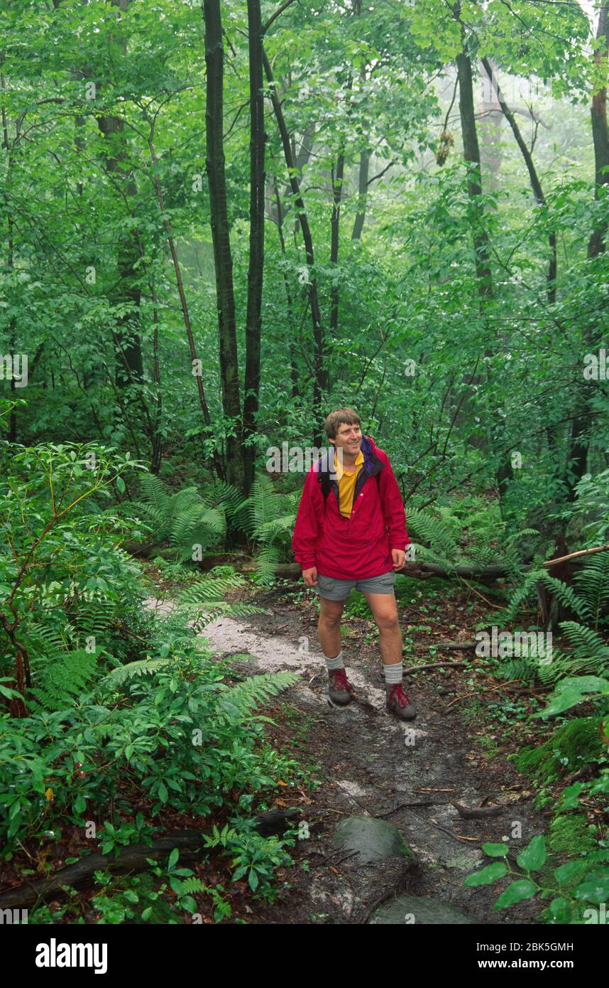 Laurel Highlands Trail, Laurel Ridge State Park, Pennsylvania Stock ... Laurel Highlands Trail, Laurel Ridge State Park, Pennsylvania Stock ...