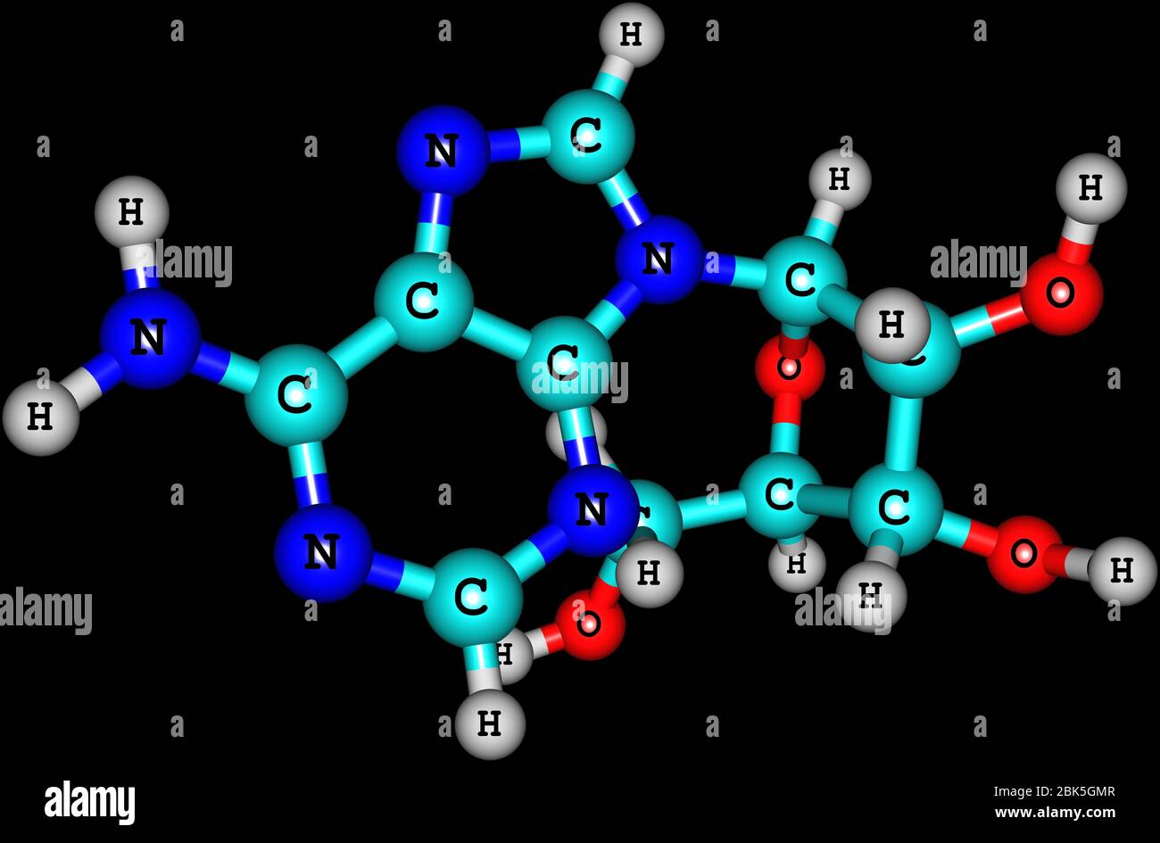 Adenosine is a purine nucleoside composed of a molecule of adenine ...