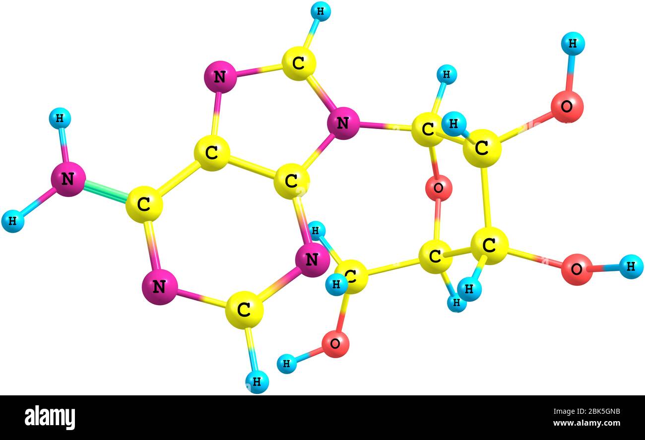 Adenosine And Adenine