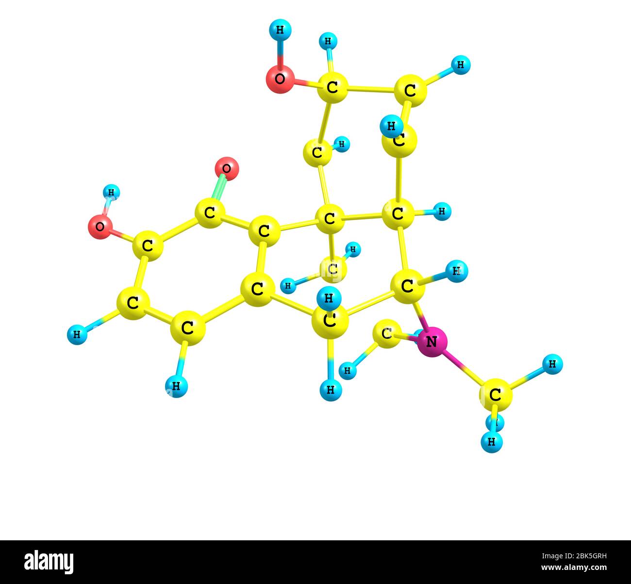 Morphine is an opioid analgesic drug, and the main psychoactive ...