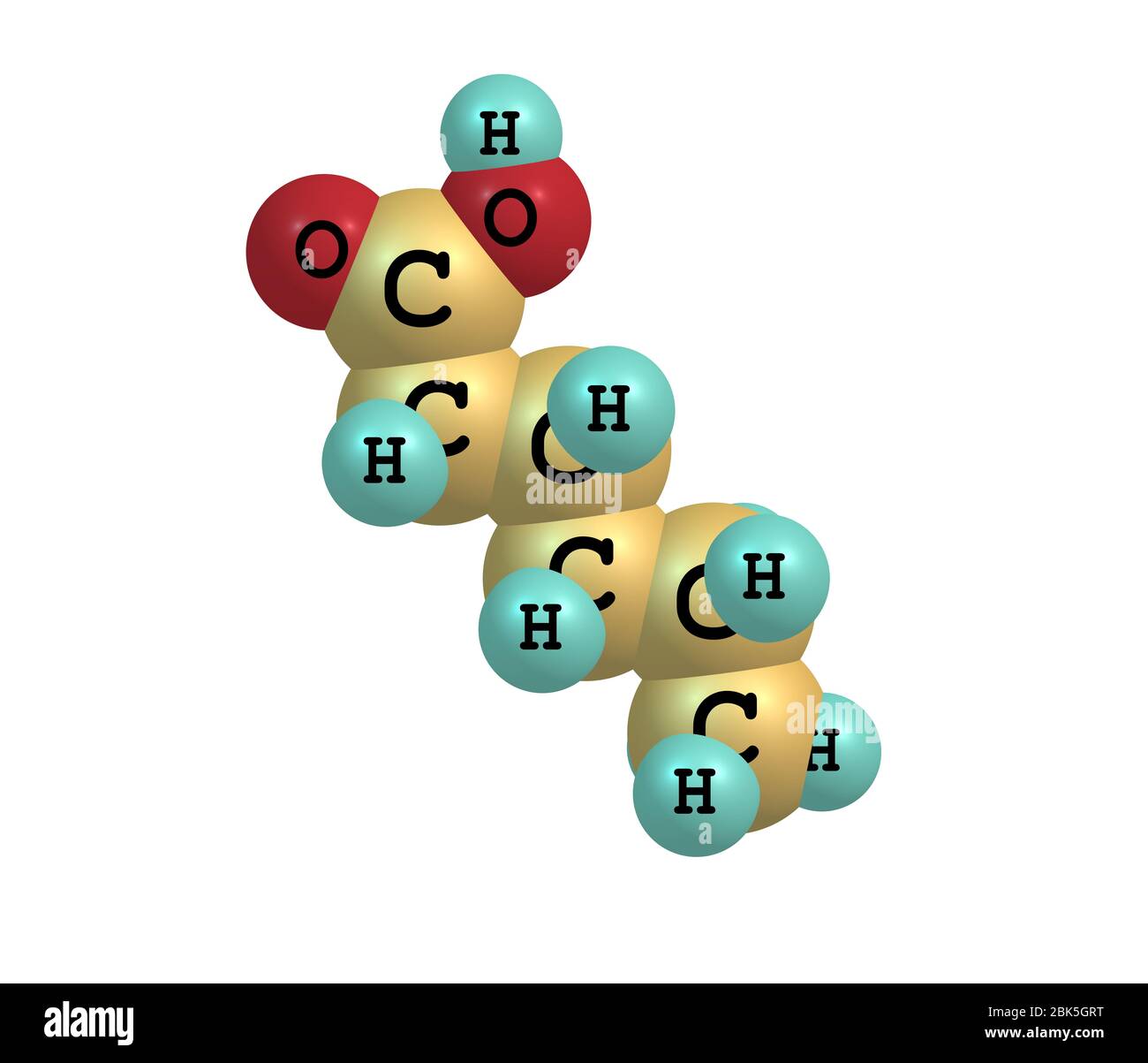 Hexanoic acid is the carboxylic acid derived from hexane with the ...