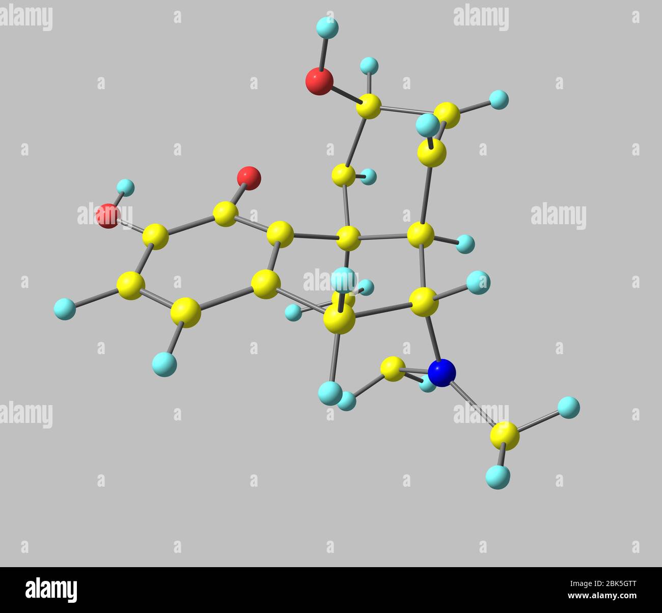 Morphine is an opioid analgesic drug, and the main psychoactive ...