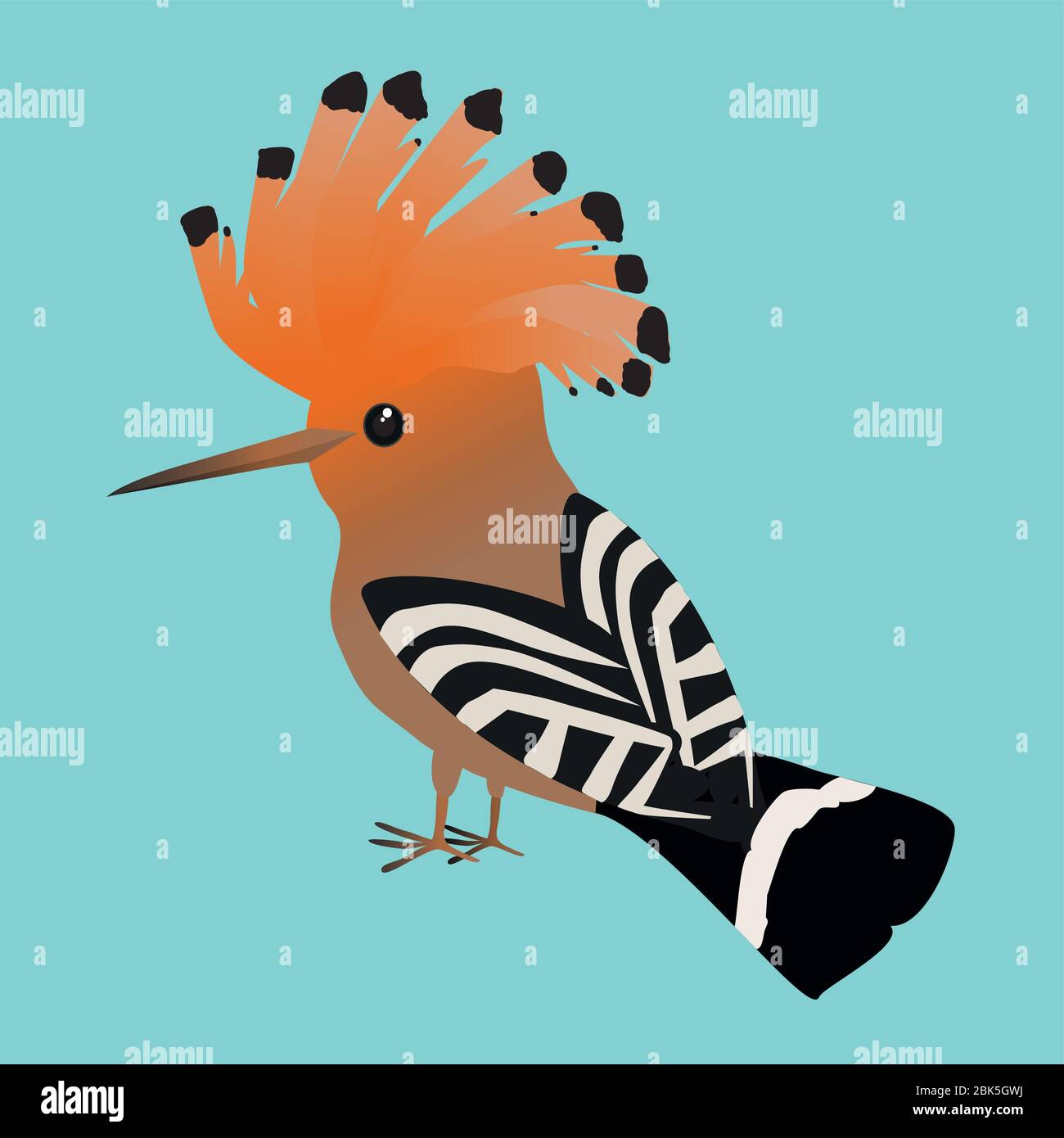 Hoopoe Bird Art High Resolution Stock Photography and Images - Alamy