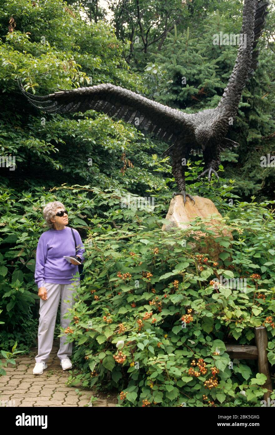 Hawk statue, Hawk Mountain Sanctuary, Pennsylvania Stock Photo - Alamy