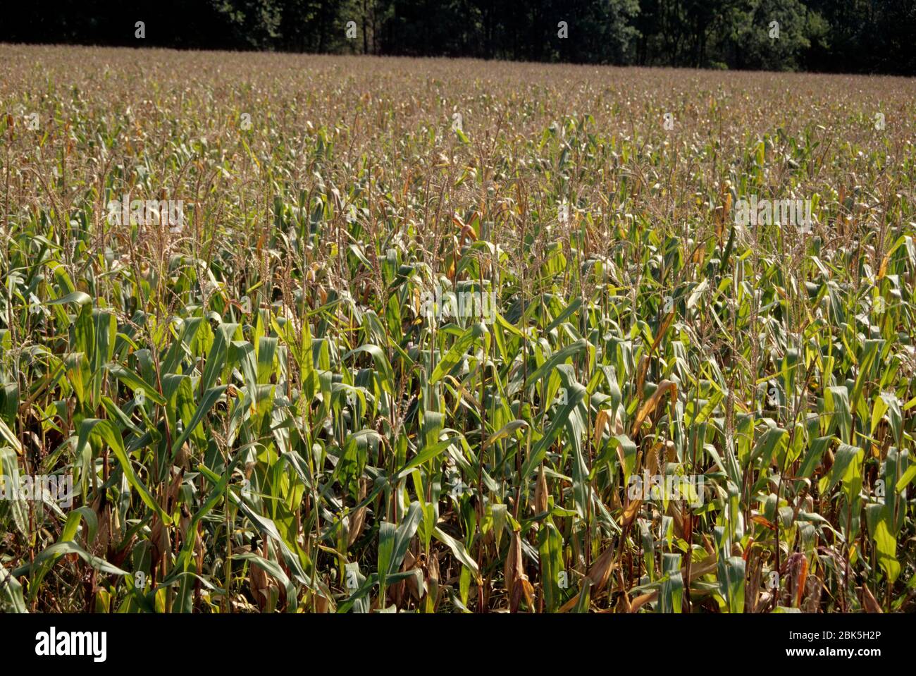 Pennsylvania agriculture hi-res stock photography and images - Alamy