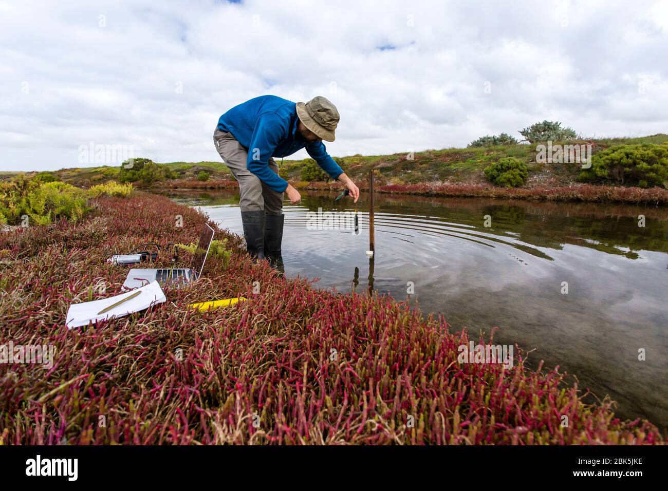 Tidal Inundation High Resolution Stock Photography and Images - Alamy