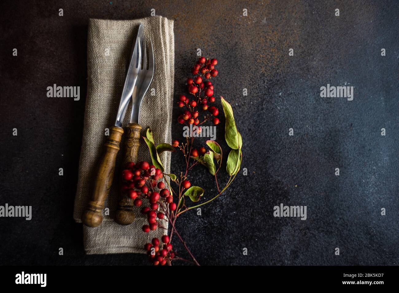 Autumnal table setting with dried wild red berries on stone background ...