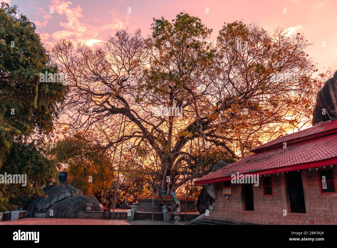 Anuradhapura maha viharaya hi-res stock photography and images - Alamy