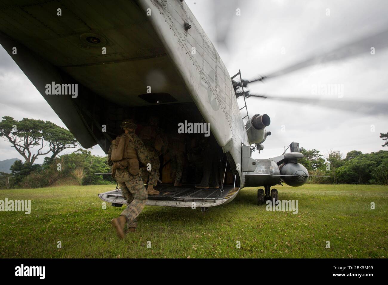 U.S. Marines with Company B, 3rd Light Armored Reconnaissance Battalion ...