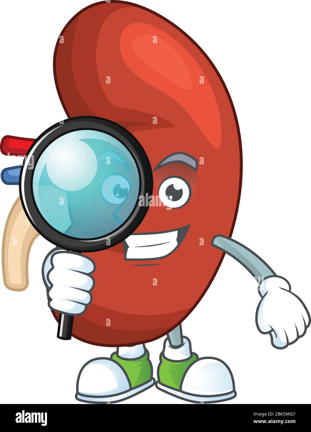 Smart Detective of right human kidney cartoon character design concept ...