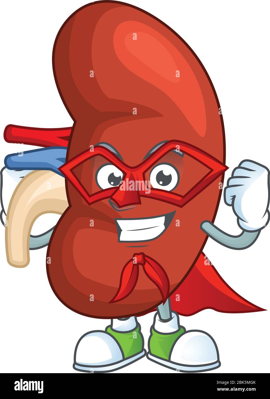 Right human kidney cartoon design concept dressed as Super hero. Vector ...