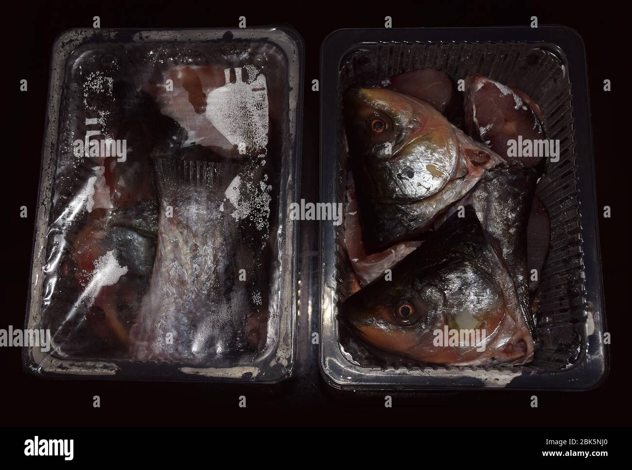 Rohu fish hi-res stock photography and images - Alamy