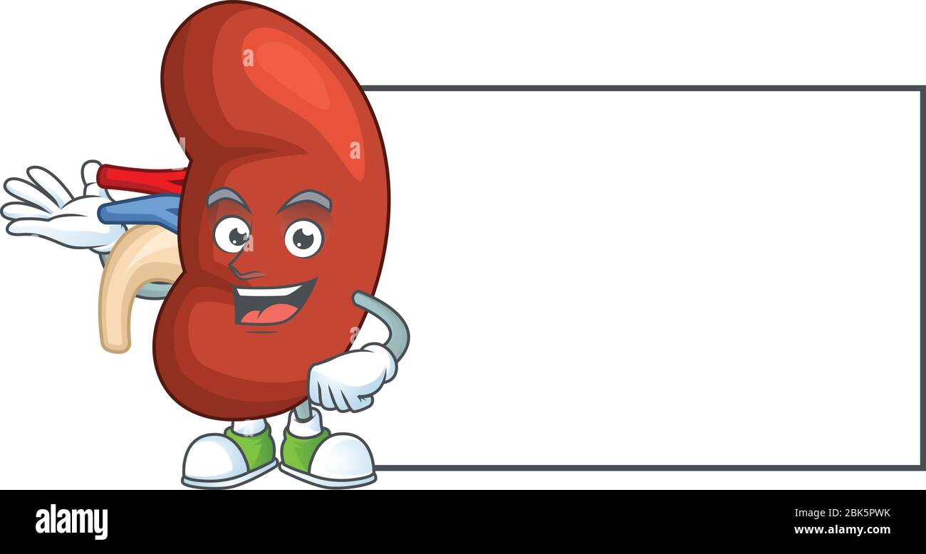 Nephron Structure And Function Animation
