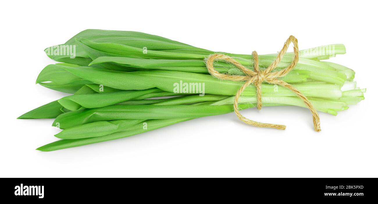 Ramson bunch vegetable isolated on white background with clipping path ...