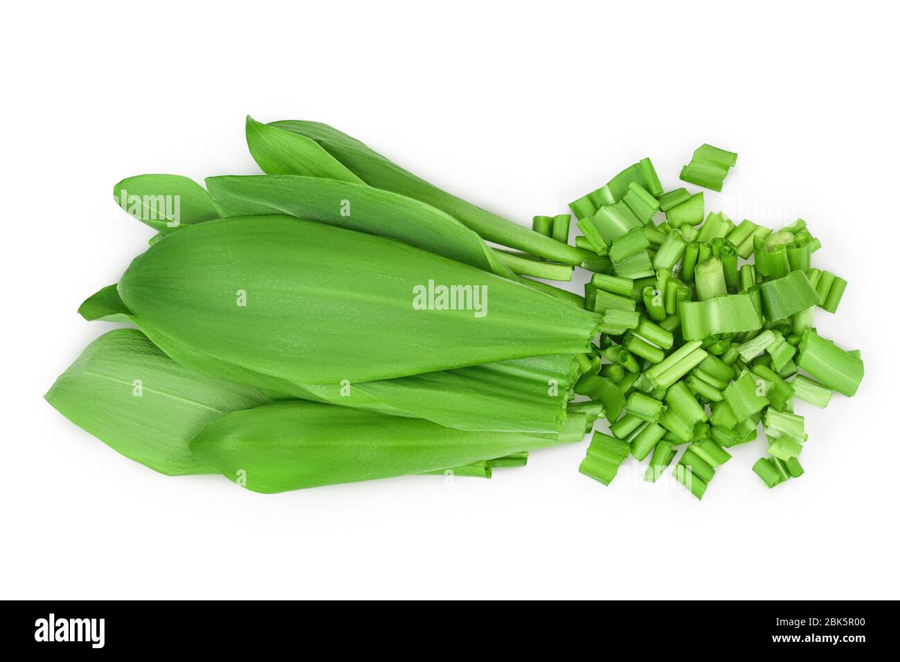 Ramson bunch vegetable isolated on white background with clipping path ...