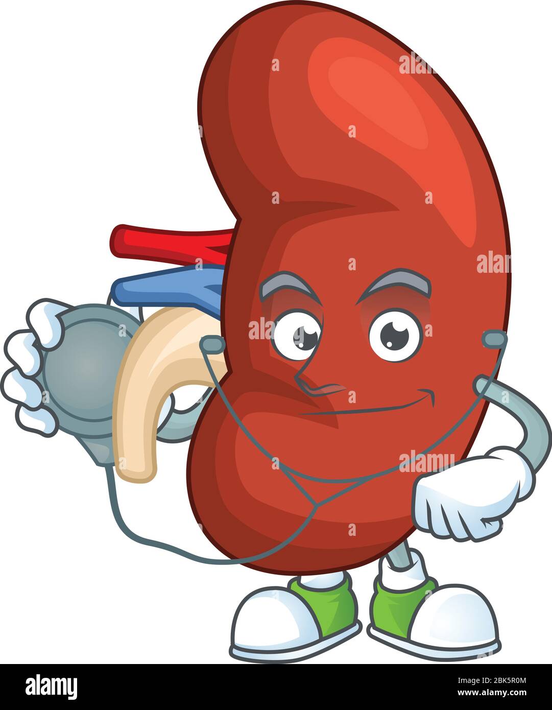 A dedicated Doctor right human kidney Cartoon character with ...