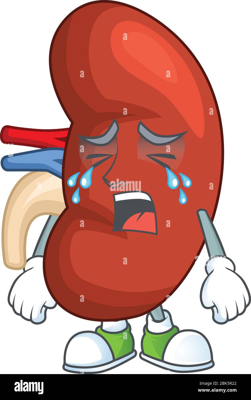 A weeping right human kidney cartoon character concept. Vector ...