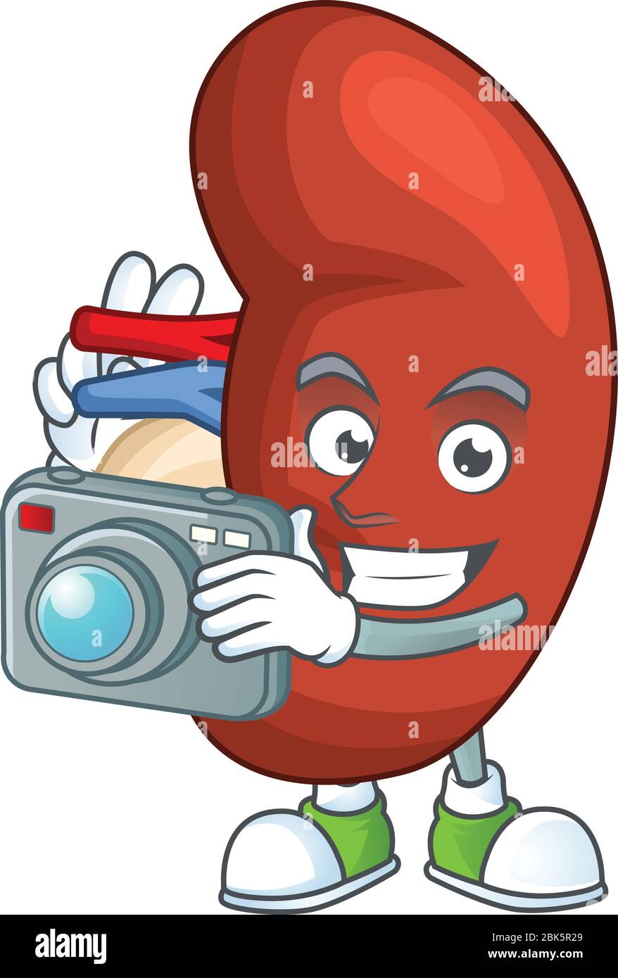 Right human kidney photographer mascot design concept using an ...