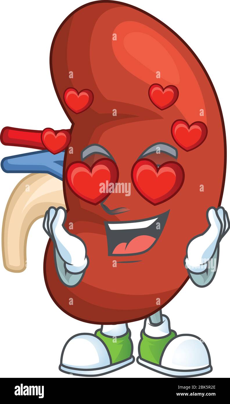 Charming right human kidney cartoon character with a falling in love ...