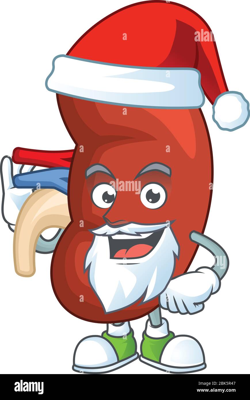 Friendly right human kidney Santa cartoon character design with ok ...