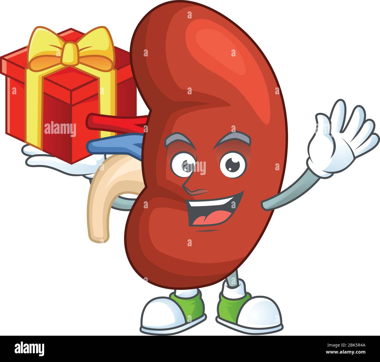 Charming right human kidney mascot design has a red box of gift. Vector ...