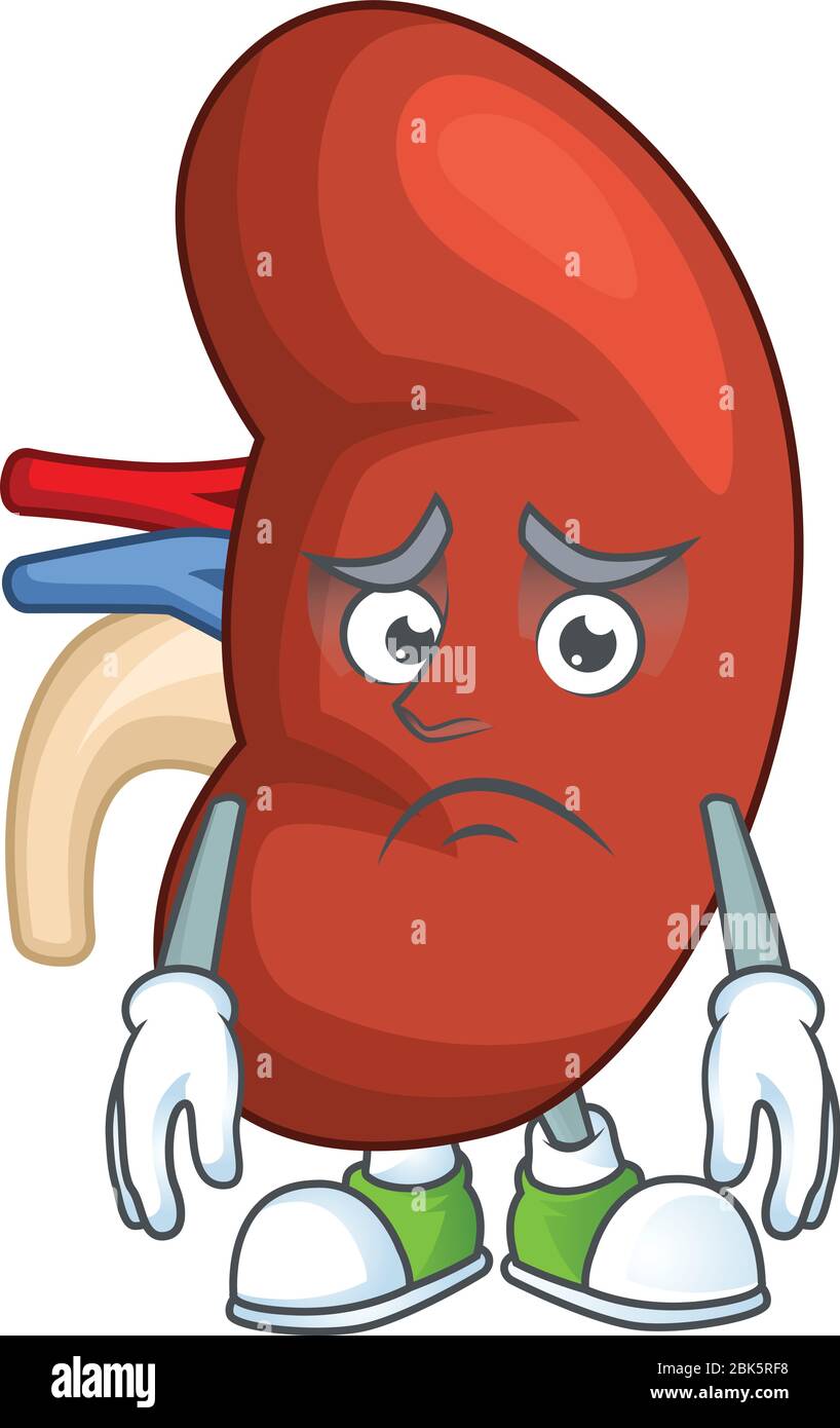 Cartoon picture of right human kidney with worried face. Vector ...