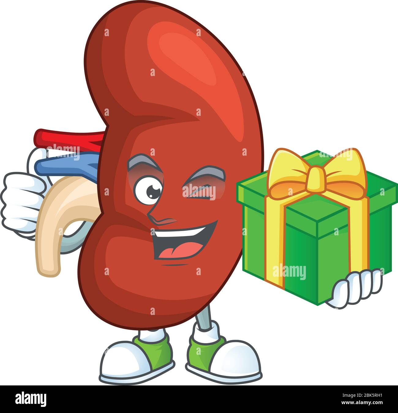 Smiley right human kidney cartoon character holding a gift box. Vector ...