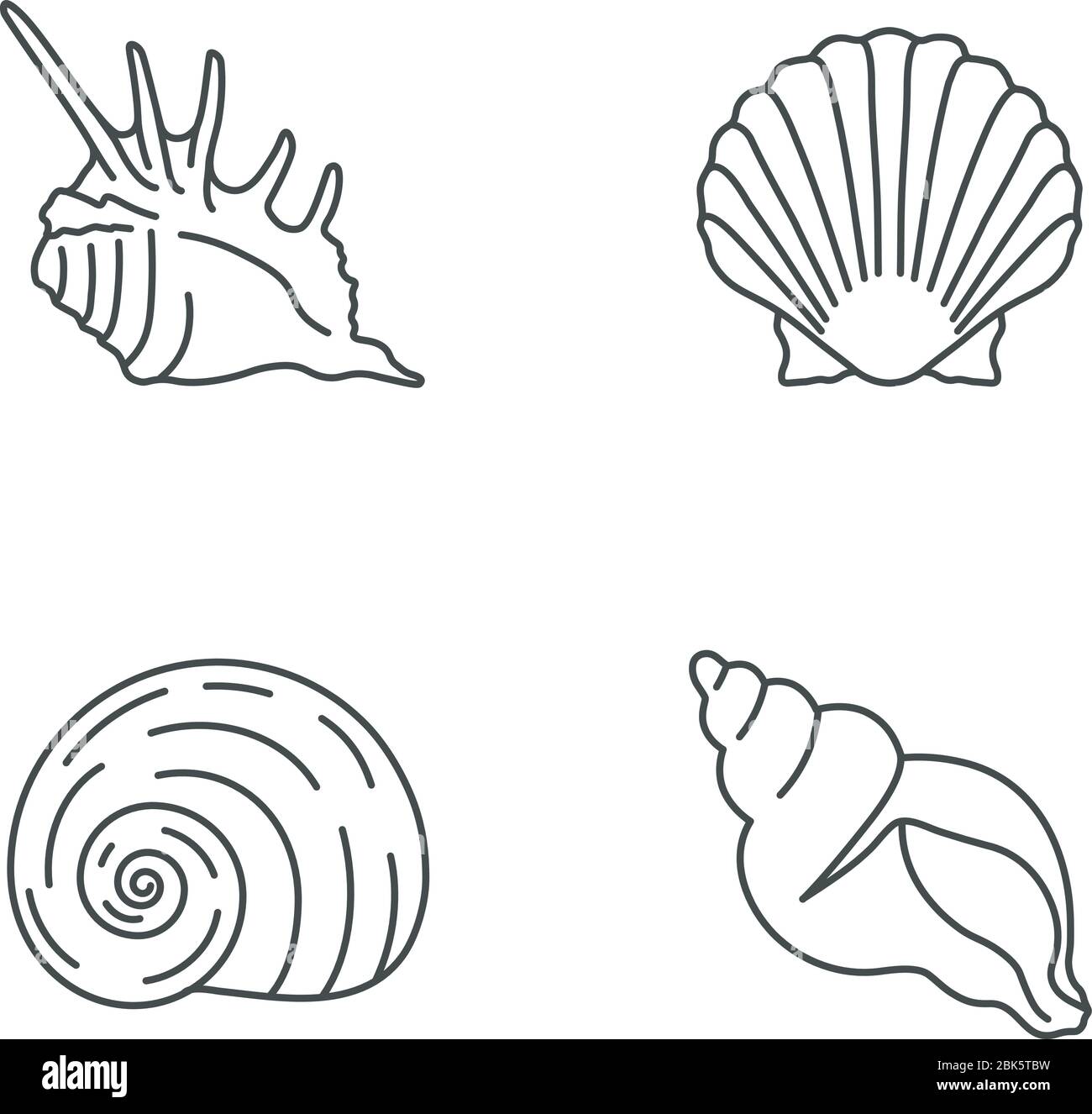 Exotic sea shells pixel perfect linear icons set Stock Vector Image ...