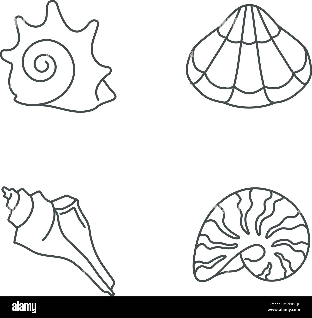 Various seashells pixel perfect linear icons set Stock Vector Image ...