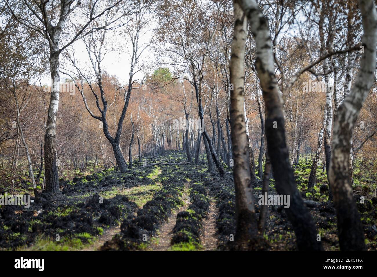 Scorched landscape hi-res stock photography and images - Alamy