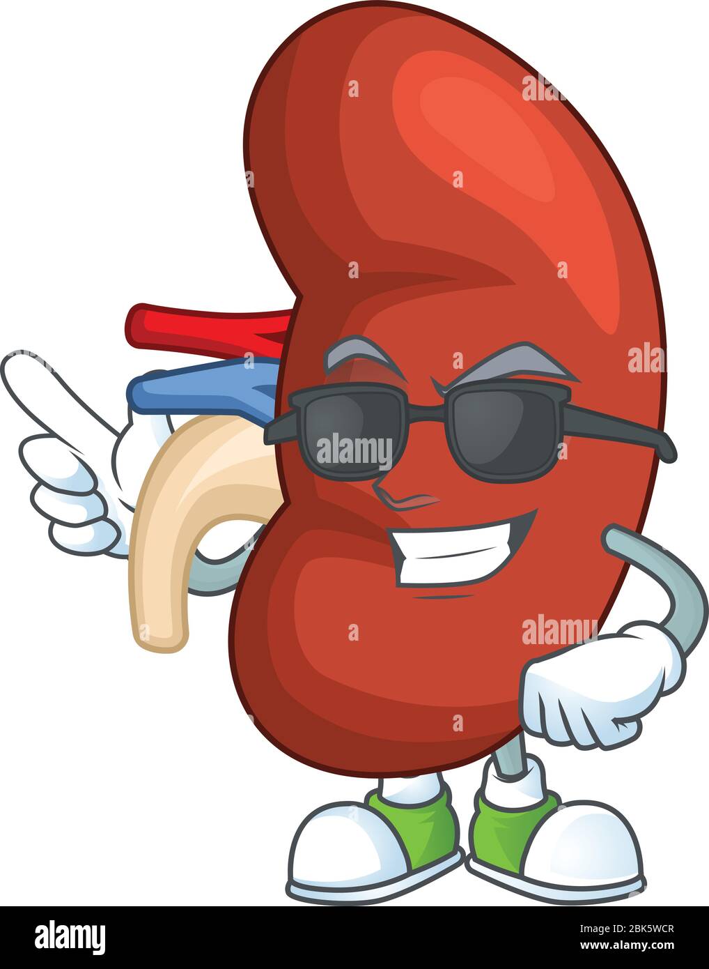 Super cute right human kidney cartoon character wearing black glasses ...