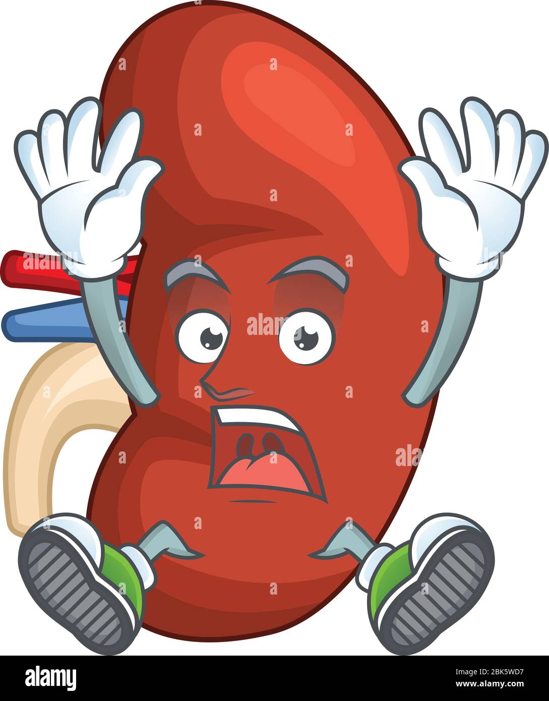 Right human kidney cartoon character design showing shocking gesture ...