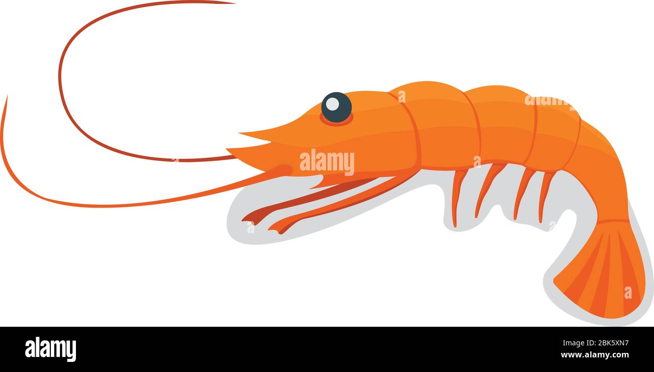 Seafood shrimp, ocean delicacy food isolated on white cartoon vector ...