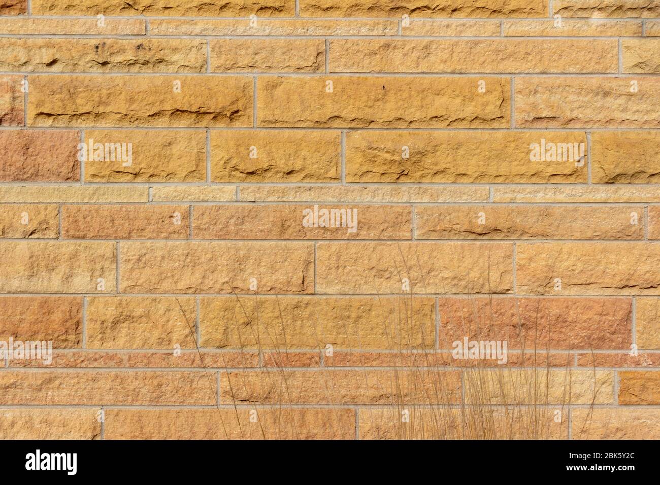 Light brown color modern limestone brick wall texture background Stock ...