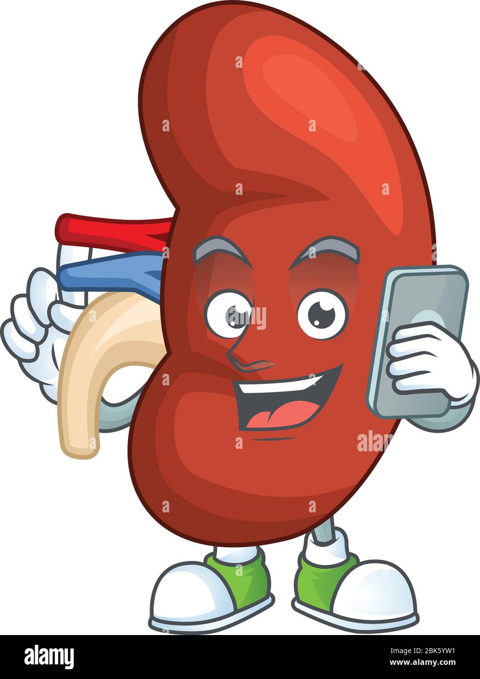 Cartoon design concept of right human kidney talking on phone Stock ...