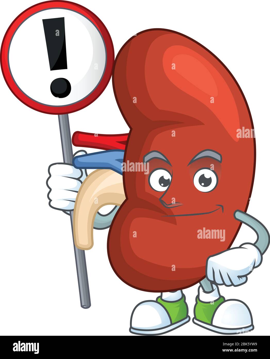A picture of right human kidney cartoon character concept holding a ...