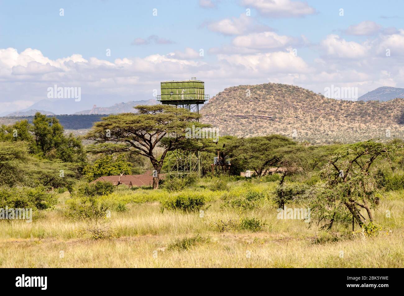 A green water storage tank on stilts in the savannah of Samburu park in ...