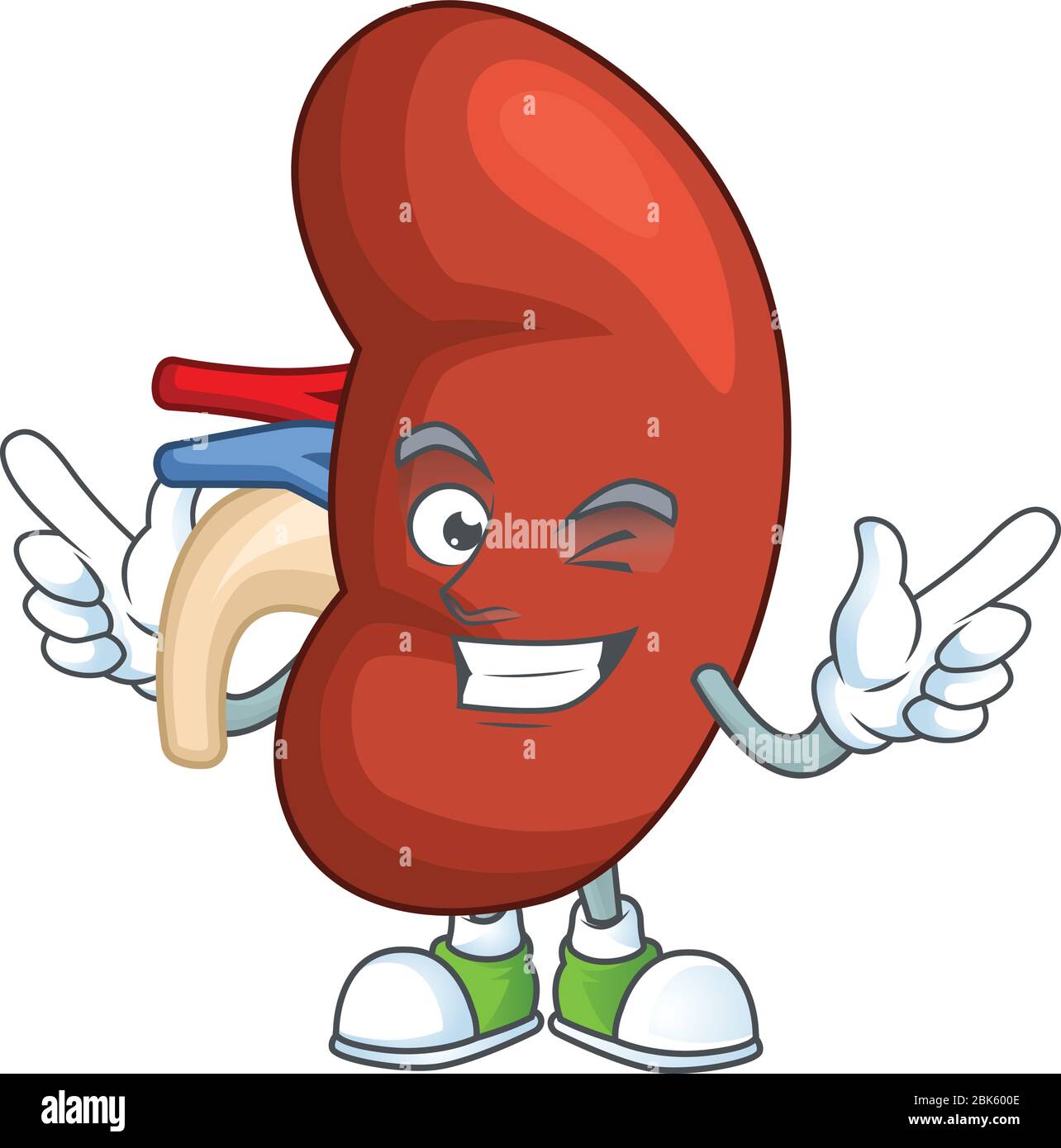 Cartoon character design concept of right human kidney cartoon design ...