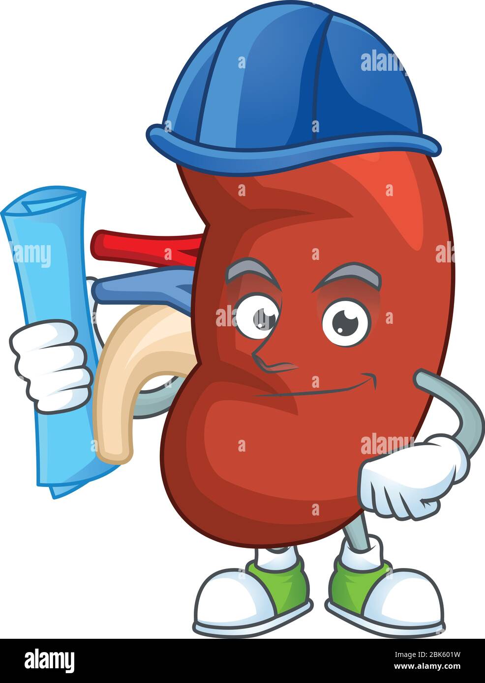 Talented Architect right human kidney cartoon design style having blue ...