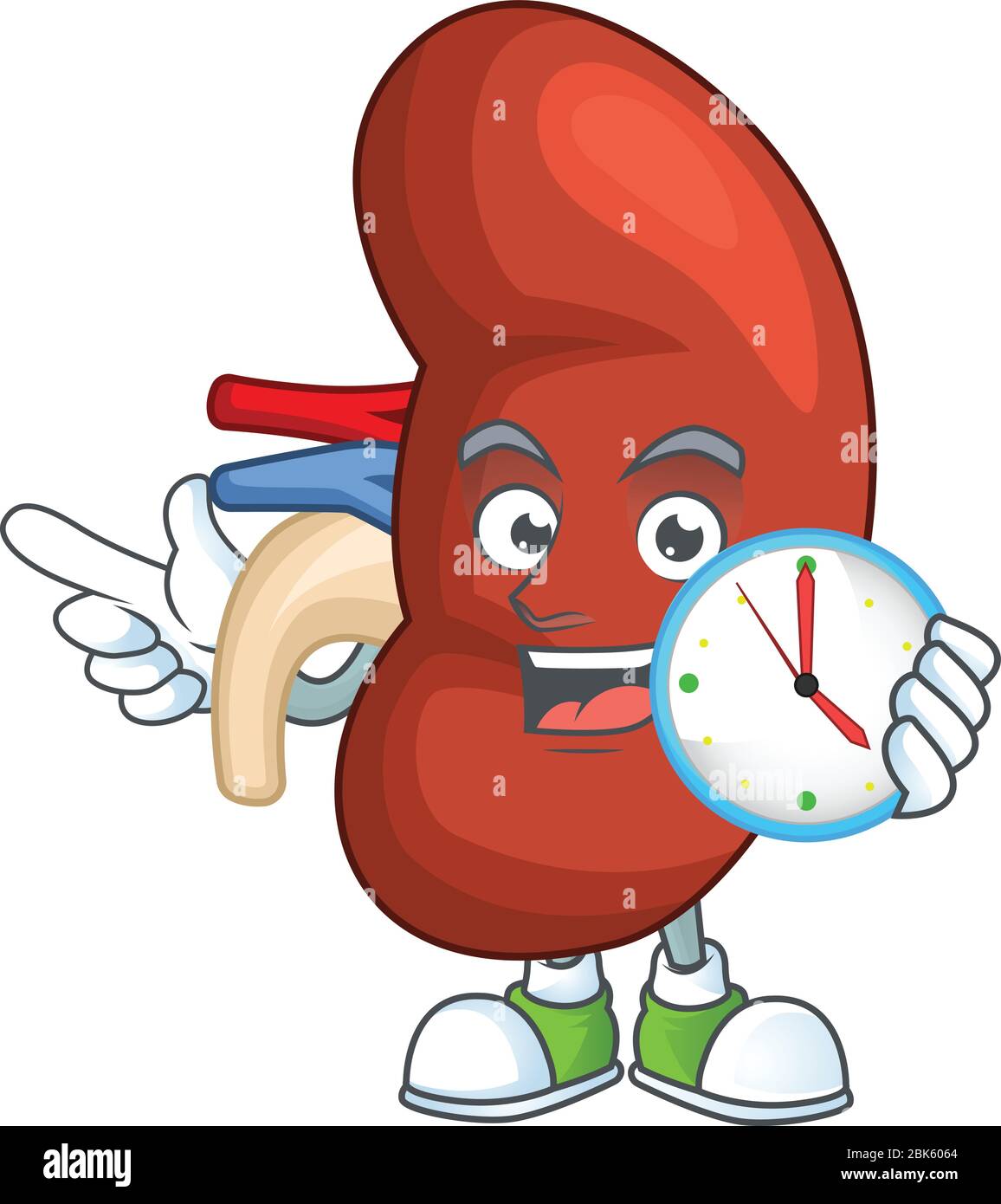 Right human kidney mascot design concept holding a circle clock Stock ...