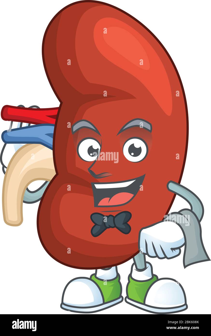 A right human kidney waiter cartoon character ready to serve Stock ...